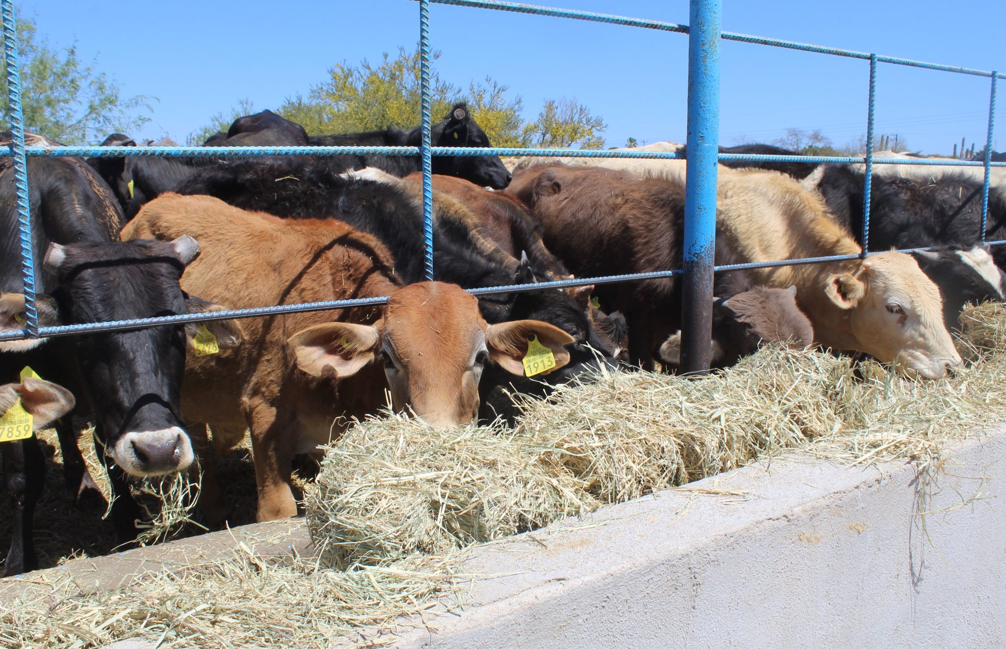 SEPADA TRABAJA EN EL PROGRAMA PERMANENTE DE ATENCION A LA SEQUÍA – SECRETARÍA DE PESCA ...